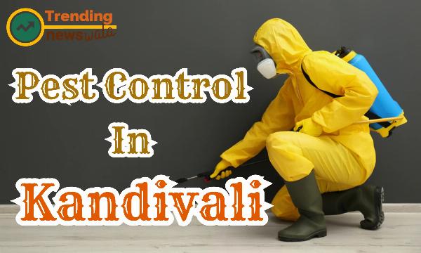 A Comprehensive Guide to Safeguarding Your Home | Pest Control In Kandivali A Comprehensive Guide to Safeguarding Your Home | Pest Control In Kandivali